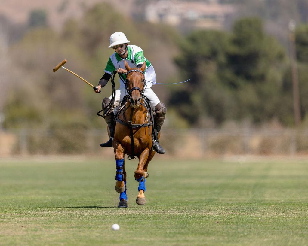 Menlo Polo Academy - Menlo Polo Club